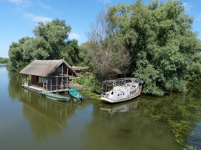 Trasee pe brațele Deltei: descoperirea naturii în armonie cu Delta ...
